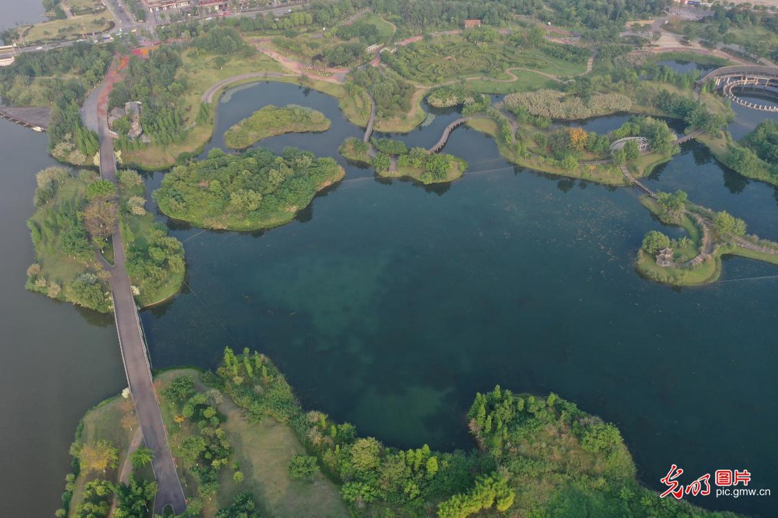 Scenery of wetland park in Meishan, SW China's Sichuan(1)
