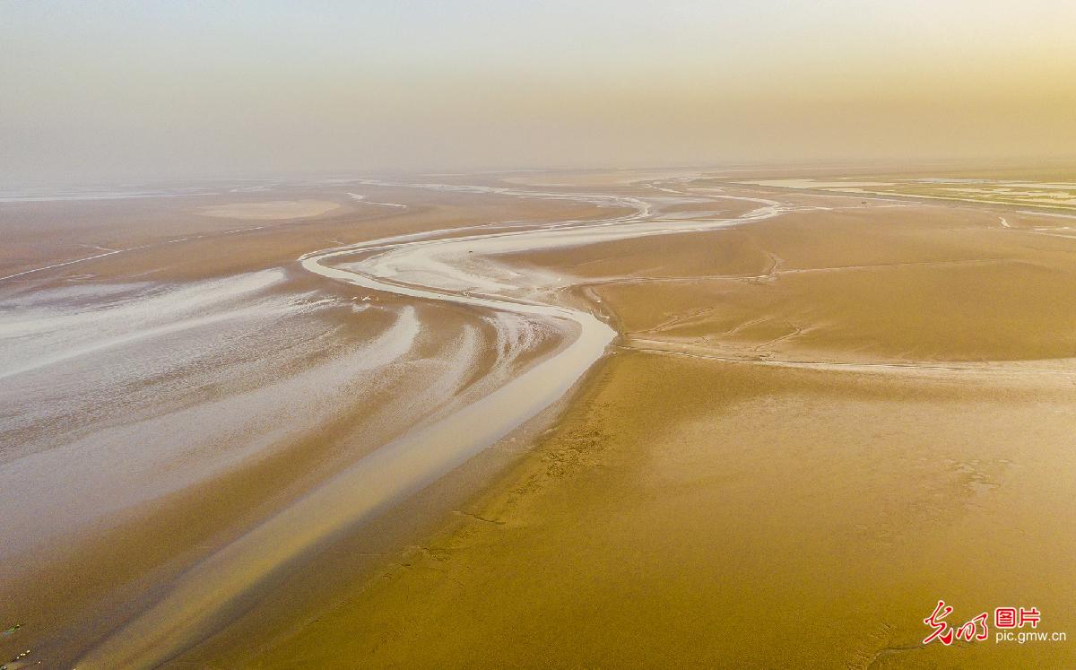 Extraordinary scenery of tidal inlets in E China's Jiangsu(2)