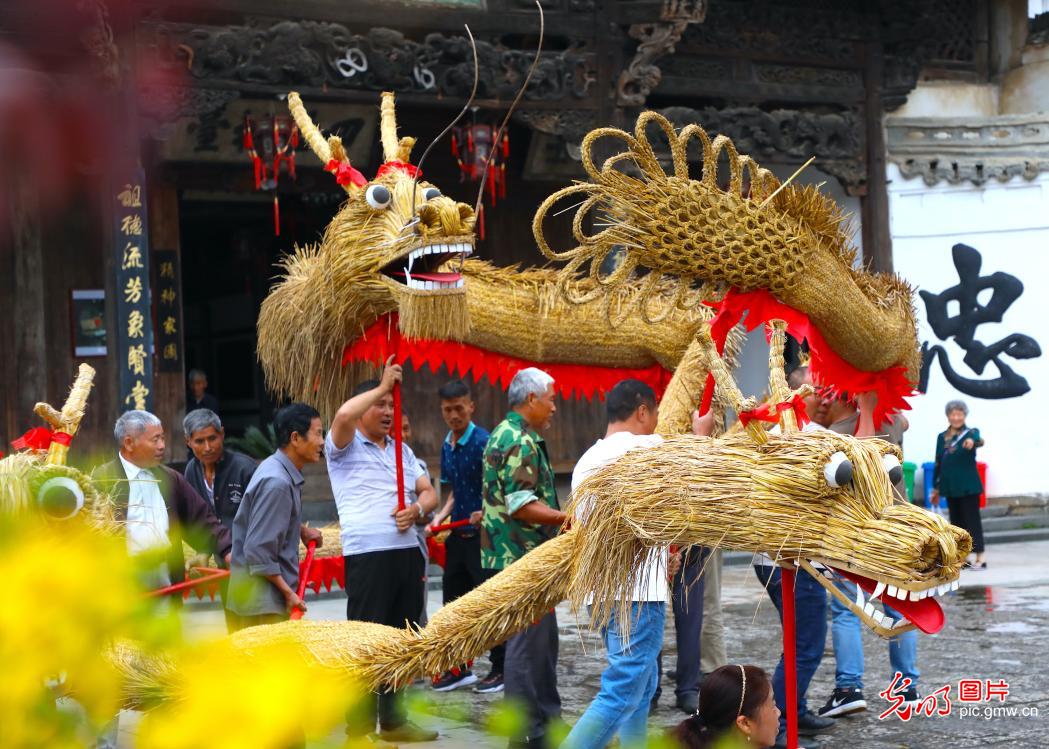 Straw Dragon Dance performed in SE China's Zhejiang(1)