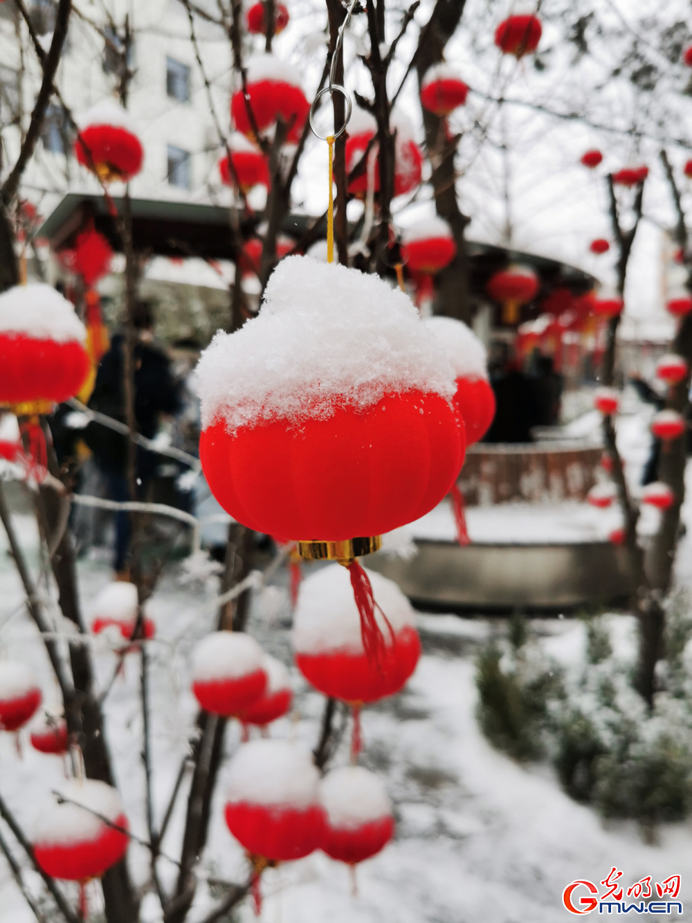 Intangible cultural heritage activities in celebration of Winter ...