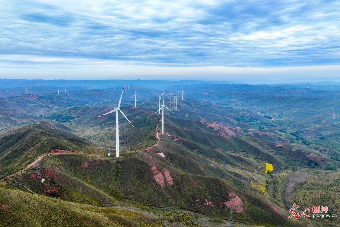 In pics: Wind power plants in NW China _Guangming Online