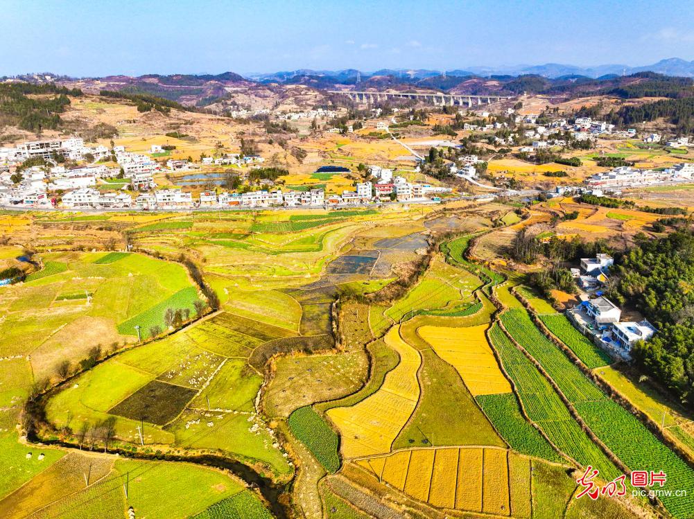 Early spring greenery refreshing countryside in SW China's Guizhou ...