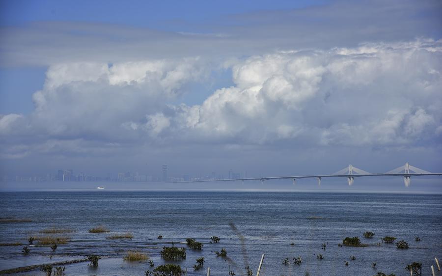 InPics | A glimpse of Xiamen from Kinmen _Guangming Online