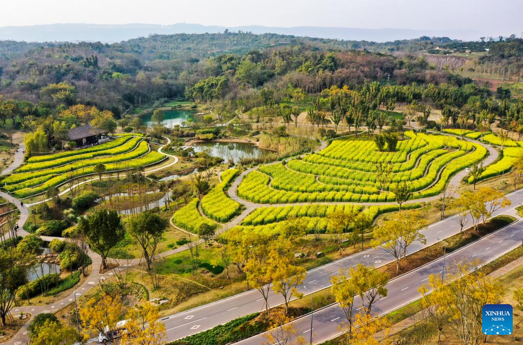 Spring scenery of Guangyang Isle in Chongqing _Guangming Online