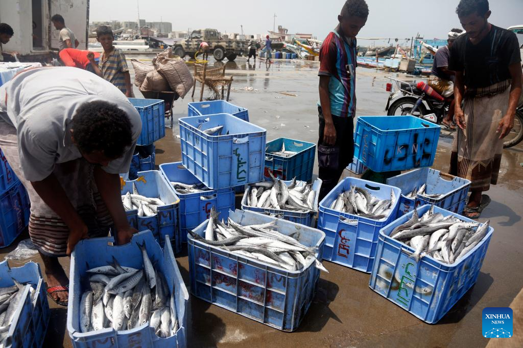 Feature: Yemeni fishermen struggle amid conflicts, economic collapse ...