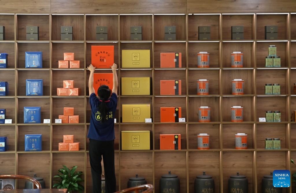 Wuzhou City famous for Liubao tea making in S China's Guangxi ...